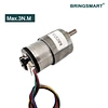 Encoder Motor